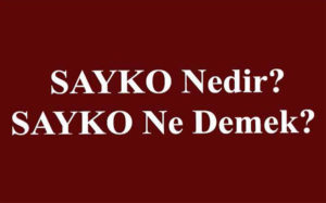 Sayko Ne Demek? ve Sayko Nedir?